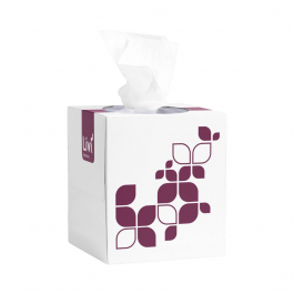 LIVI Impressa Facial Tissues Cube Box | Southern Hospitality