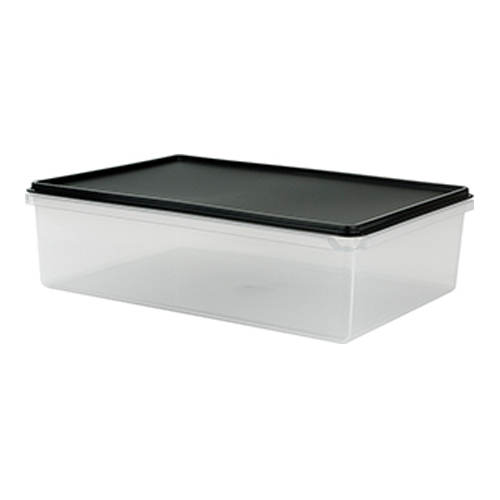 Cuisine Queen Rectangular Container 2L | Southern Hospitality