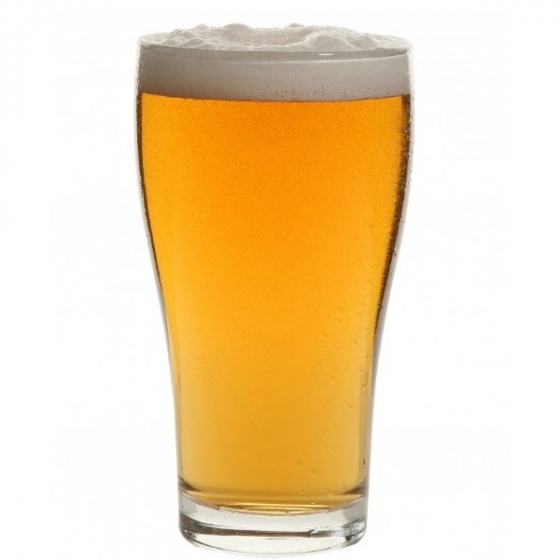 Crown Conical Beer Glass Nucleated 285ml | Southern Hospitality