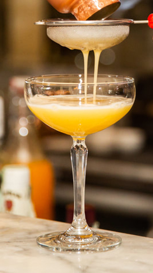 Ocean Connexion Coupe 215ml | Southern Hospitality