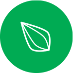 Are Your Cleaning Products Sustainably Sourced?