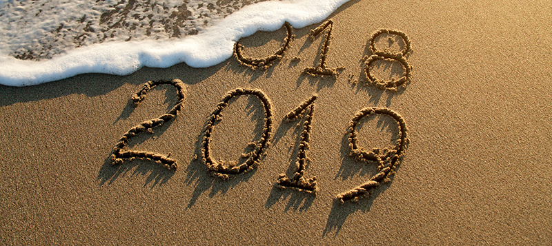 2019 New Year Shopping Guide